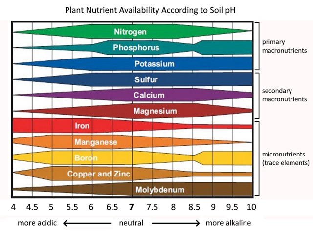 Soil pH and Management Suggestions | Soil Nutrient Analysis Laboratory